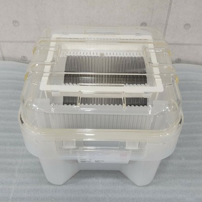 Wafer Processing - 200Mm Silicon Wafer