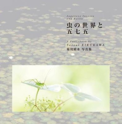 Japanese Insects And Haiku 9784434225079 | eBay