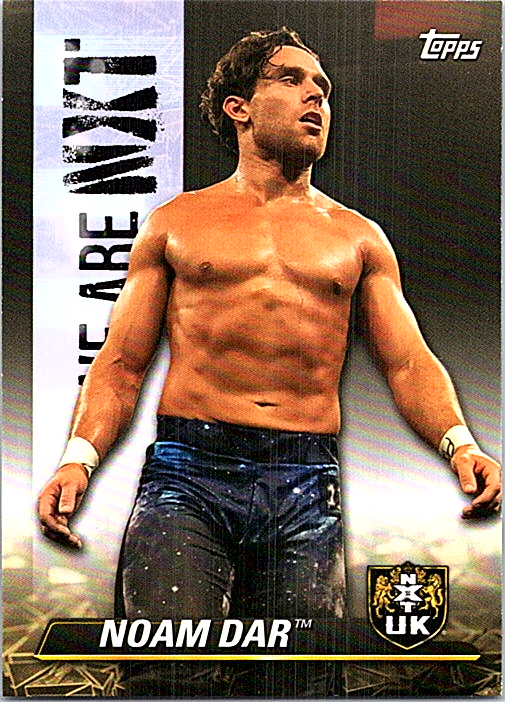 2021 Topps WWE NXT We Are NXT NXY-39 Noam Dar | eBay