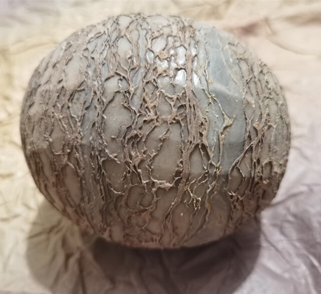 Segnosaur Dinosaur Egg Fossilized Crystallized Fossil Jurassic ...