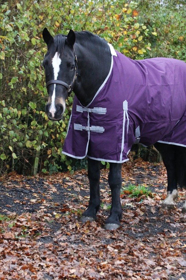TURNOUT RUG HORSE TURNOUT RUG NO FILL LIGHTWEIGHT HORSE RUG 600D ...