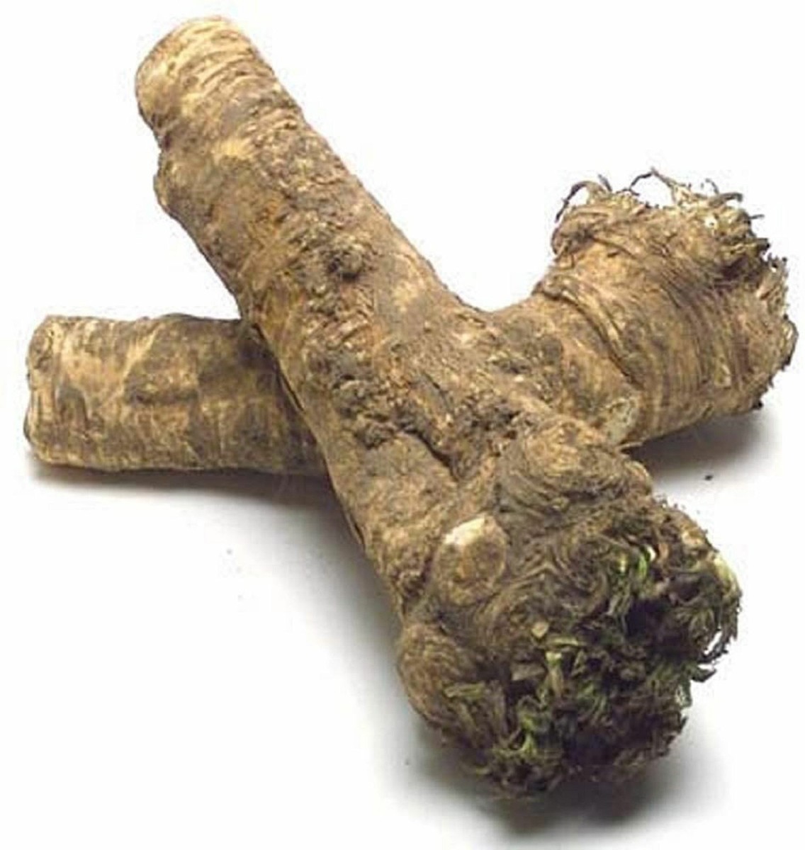 Horseradish Root