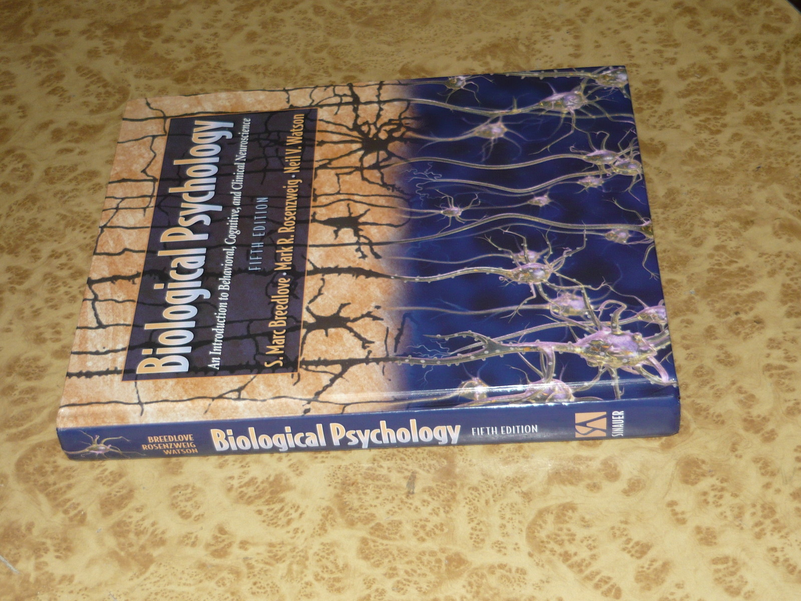 Biological Psychology Book by Breedlove Rosenzweig Watson 5th Edition ...