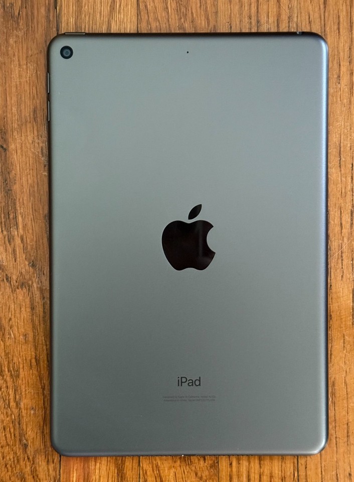 Apple iPad Mini 5th Gen SPACE GREY 256GB WiFi MUU32LL/A A2133 Works ...