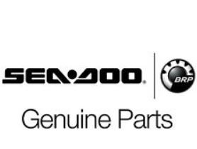 Sea-Doo Front Deflector Lid Kit for SPARK 295100865 | eBay