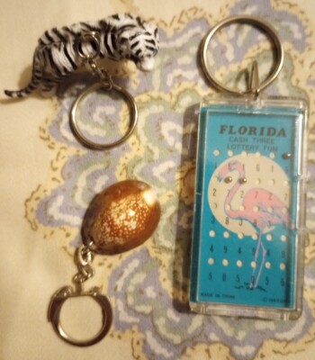 Florida keychains | eBay