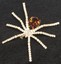 Vintage IVANA Brown Rhinestone SPIDER Brooch / Pendant 2" x 2 1/4" MINT ...