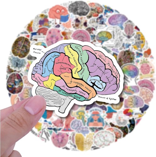 50 Pcs Brain Stickers Pack | Colorful Vinyl | eBay