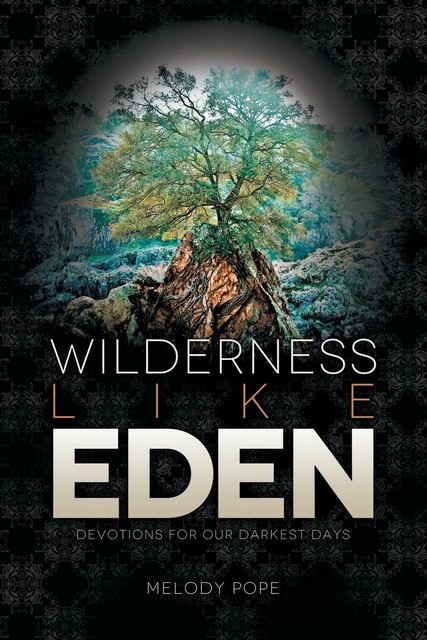 Wilderness Like Eden von Melody Pope (2015, Taschenbuch) online kaufen ...