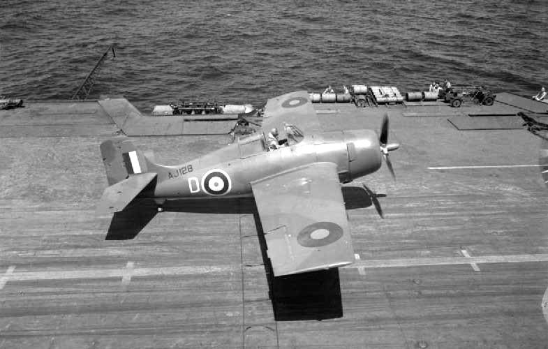 Ares Grumman F4 F-3 Martlet - Wings Of Glory / War WW2 (Painted) | eBay