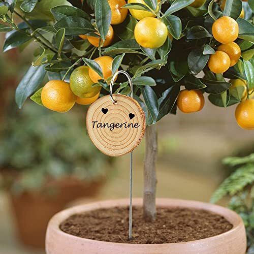 Wooden Plant Labels 25 Pcs Garden Markers with Stake & Marker Pen ...