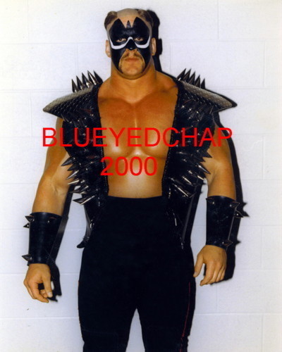 ROAD WARRIOR HAWK WRESTLER 8 X 10 WRESTLING PHOTO NWA AWA WWF WCW | eBay