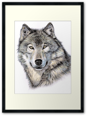 Wolf Schets Kunst