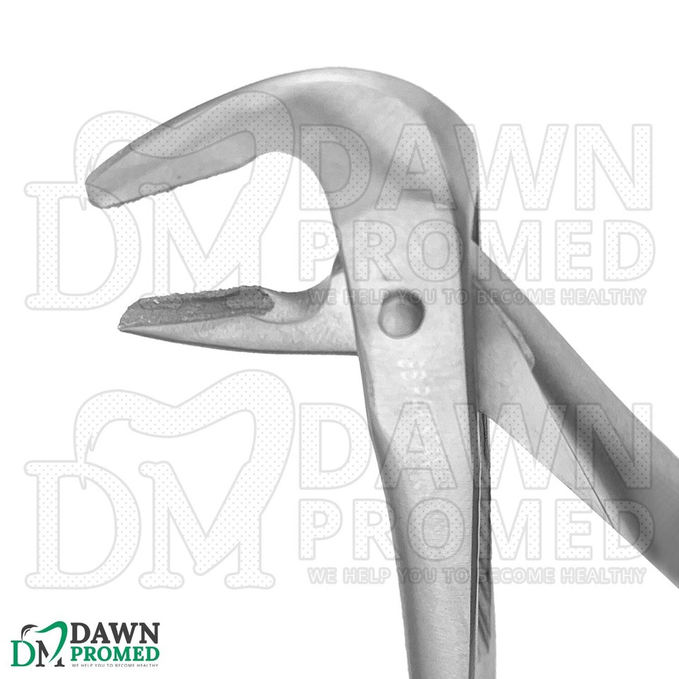 4 Pcs TC Extracting Forceps Root Tip Set Dental Extraction Instruments ...