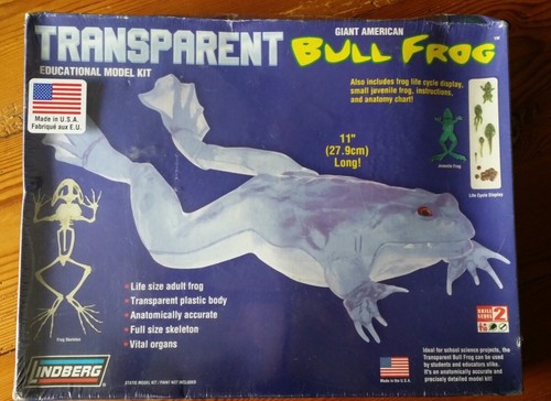 Lindberg Transparent Giant American Bull Frog Model Kit Plastic Anatomy ...