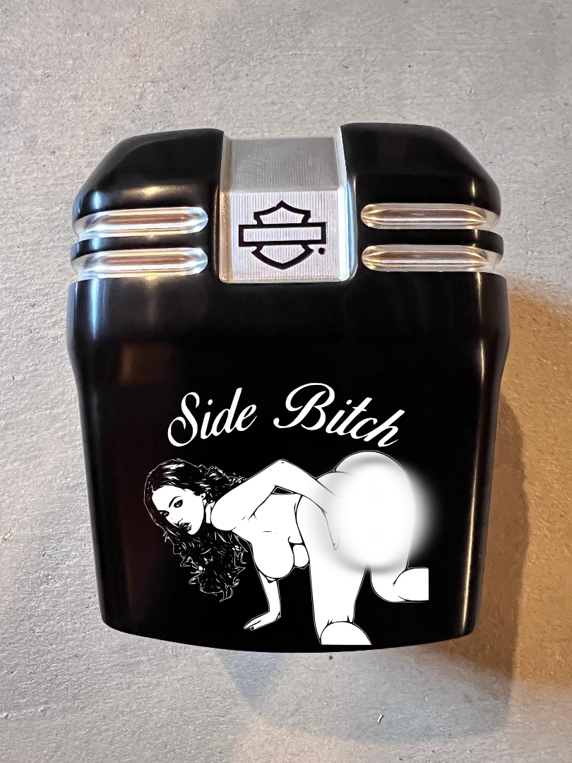 harley side bitch doggie horn cover | eBay