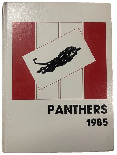 1985 PRINCESS ANNE JUNIOR HIGH SCHOOL YEARBOOK, THE PANTHER, VIRGINIA ...