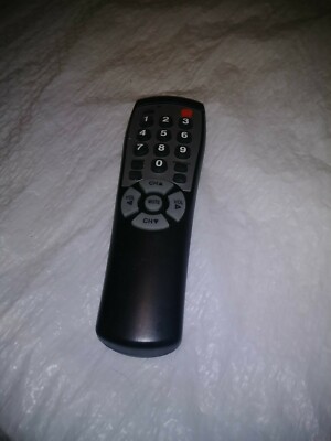 Fast Shipping🇺🇸 BRIGHTSTAR REMOTE BR100L TV REMOTE | eBay