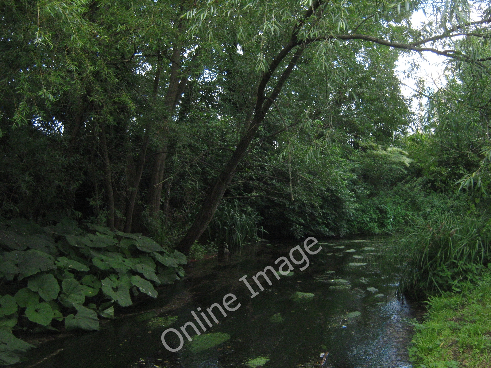 Photo 6x4 River Cray towards St Mary Cray Derry Downs This section of the c2011 | eBay UK