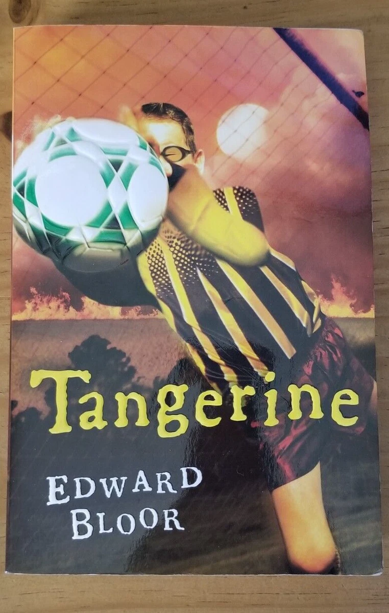 Tangerine Sinkhole Swallows School