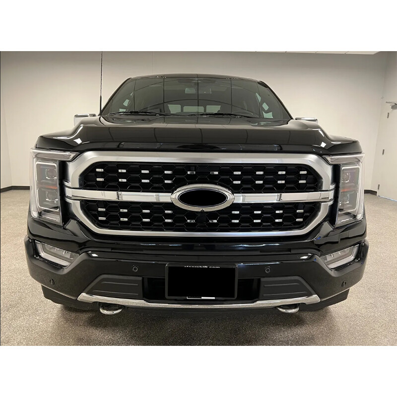 Fascinating 2021 F150 Platinum Grill Gallerynull