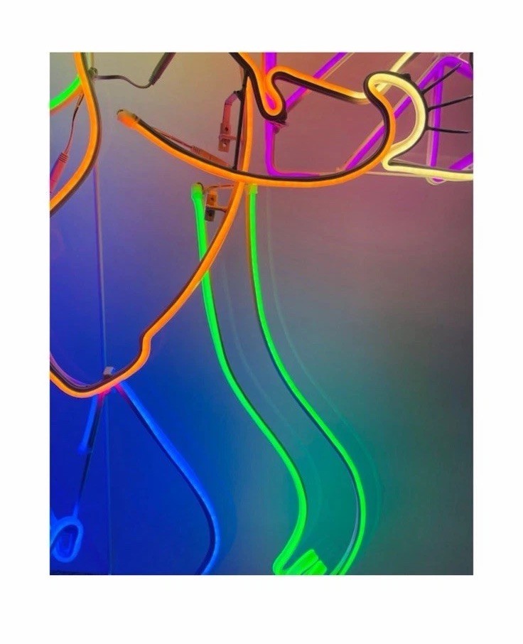 Disney 53.15-In Goofy Neon Decor Stacked Presents LED Lighted Outdoor ...