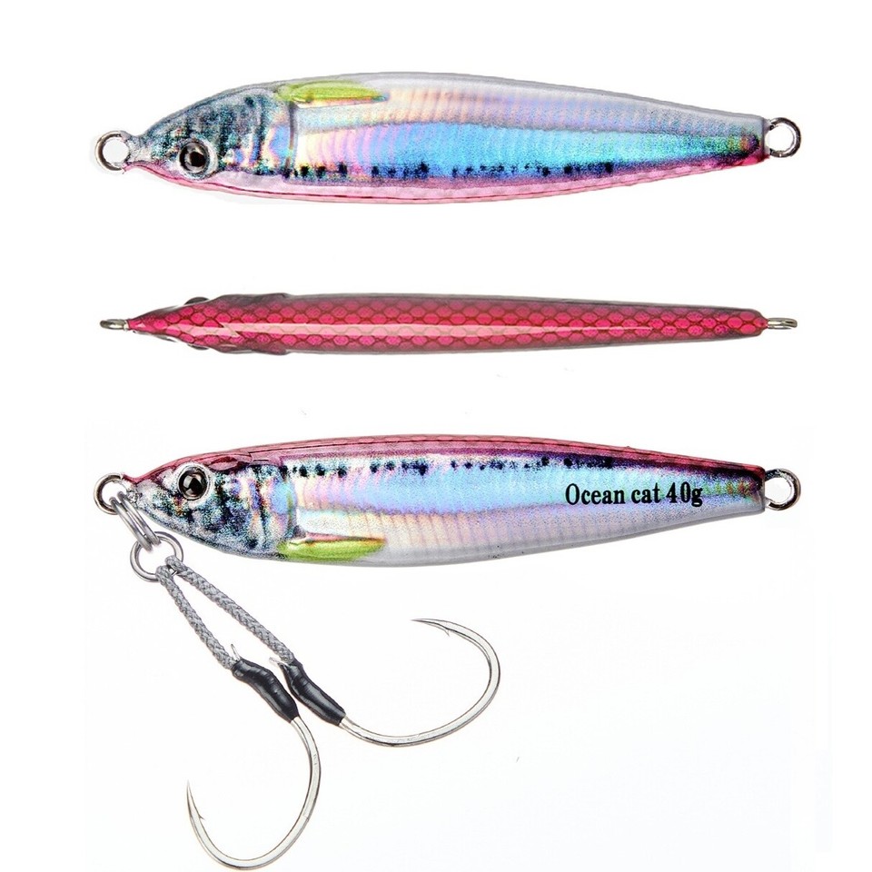 Slow Pitch Jig Saltwater Fishing Lure Flat Fall Jig Jigging Bait with 2 ...
