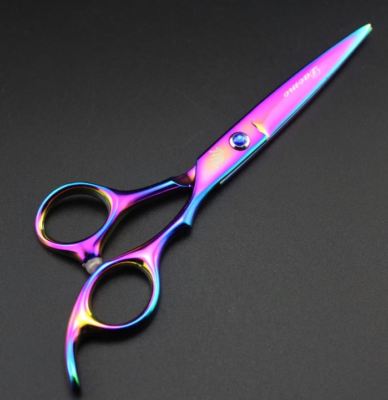 Daomo Japanese Rainbow 6" Handmade Pro Hairdressing/Barber Scissors RRP ...