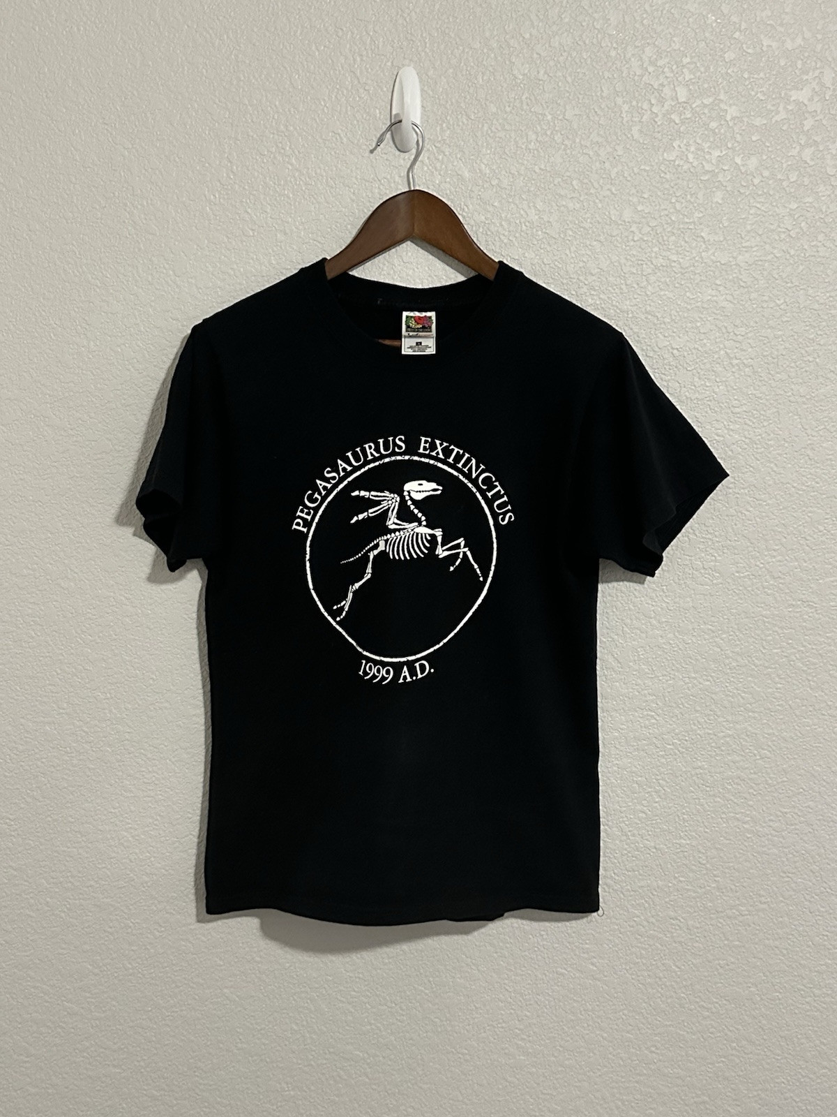 VINTAGE Pegasaurus Extinctus Dinosaur Bones Skeleton … - Gem