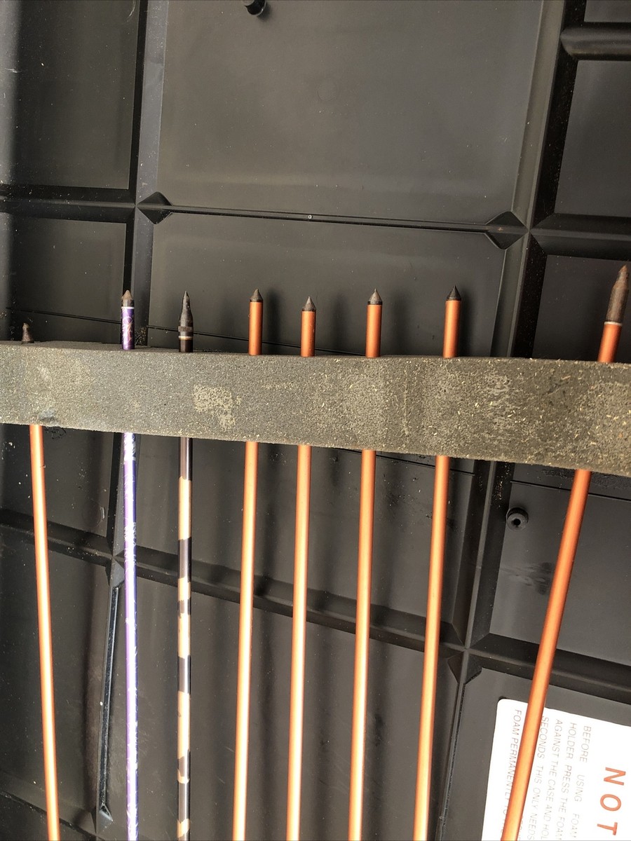 Hoyt Rebel Compound Bue