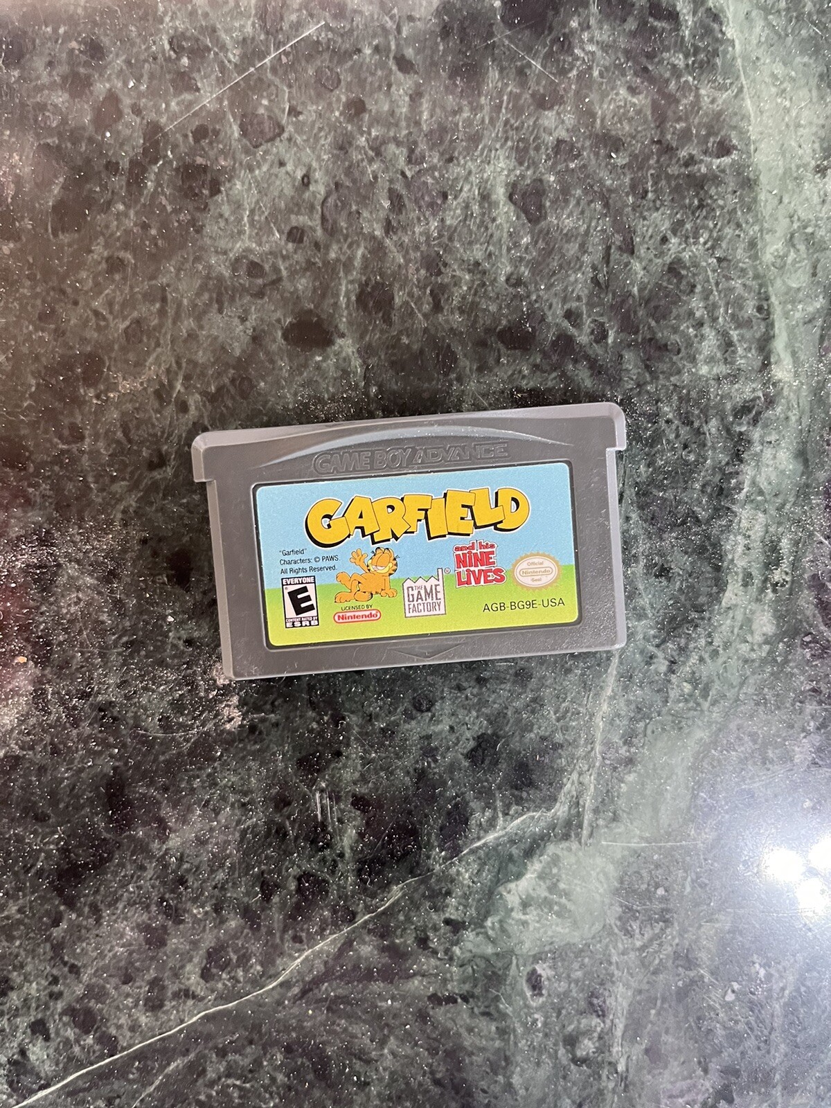 Garfield And The Nine Lives GBA | eBay