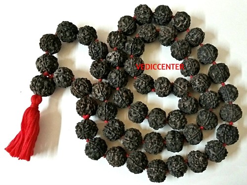 Rare collier original non colorant Rudraksha Mala 55 perles taille 15 ...