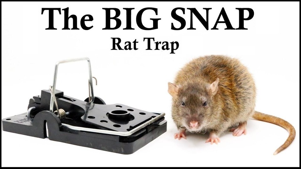 2x Large Professional Heavy Duty Rat Snap Traps for Outdoors / Indoors ...