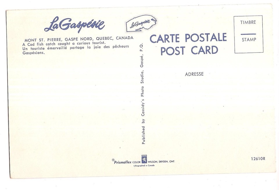 MAN STABS FISH Fishermen COD Mont St. Pierre Gaspe Nord Quebec Canada ...
