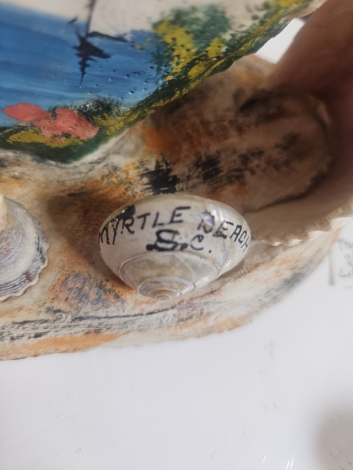 VTG MCM 50's Kitsch Sea Shell TV Lamp Conch Coral Light COASTAL Tiki ...