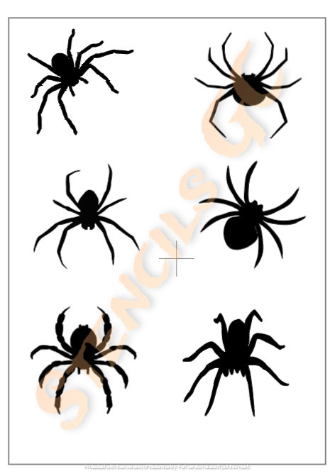 New A4 High Quality Spiders 250 Microns- Reusable Stencil | eBay Australia