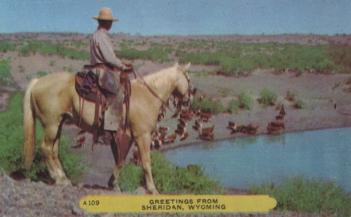 Greetings From Sheridan Wyoming Vintage Chrome Postcard | eBay