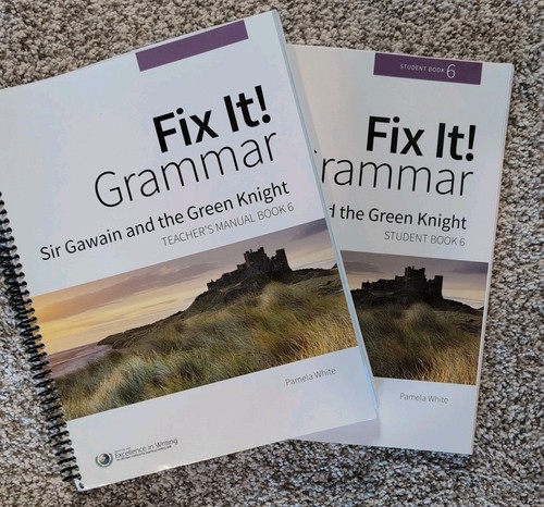 Fix it Grammar 6 (High School) Sir Gawain and the Green Knight IEW | eBay