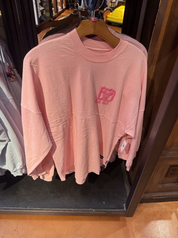 2025 Walt Disney World Princess Icons Character Pink Spirit Jersey ...