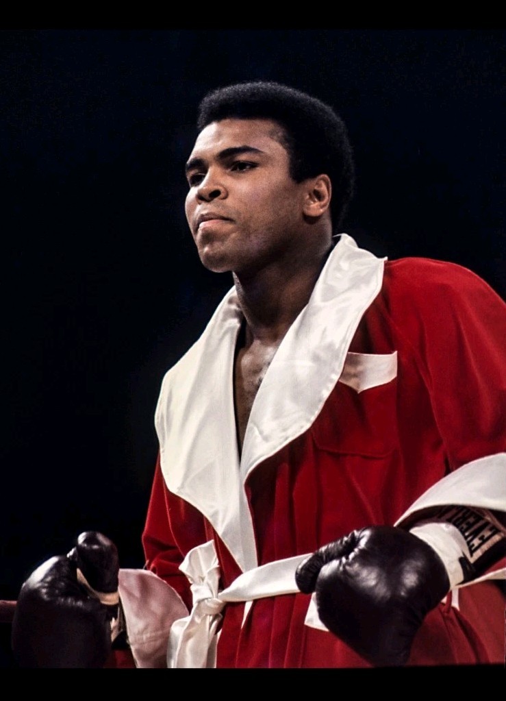 Boxing Muhammad Ali Career Set Boxing Dvds | eBay