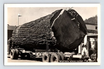 Vintage Real Photo Postcard Western Washington Fir Log on Truck | eBay