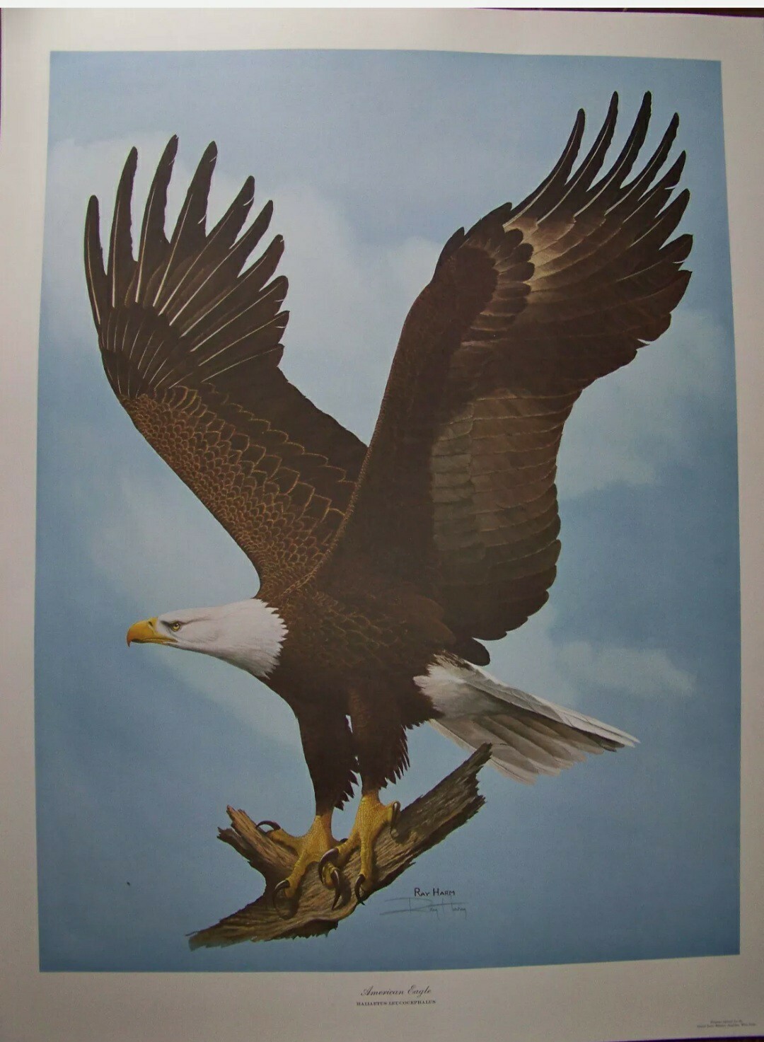 RAY HARM BALD EAGLE WEST POINT EDITION- 54 YEAR OLD PRINT- MINT ...