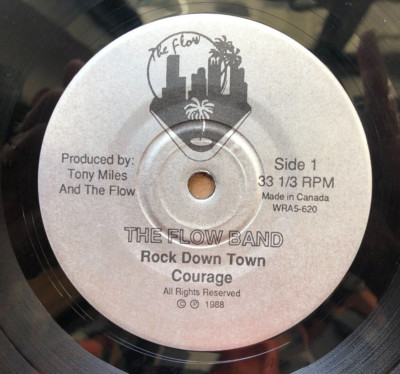 THE FLOW BAND-THE FLOW 4-SONG ROCK/ REGGAE 7" EP VINYL NM | eBay