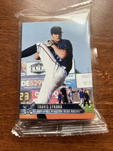 2025 WILMINGTON BLUE ROCKS TEAM SET NEW SEALED NATIONALS MINORS | eBay