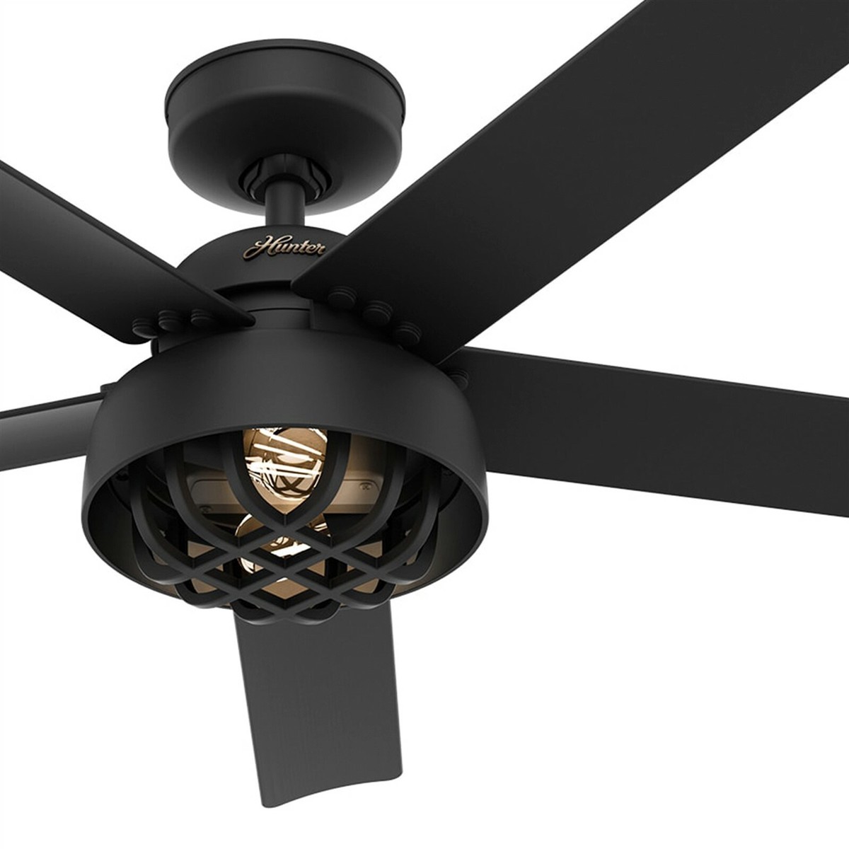 52 Hunter Ceiling Fan With Light | Shelly Lighting