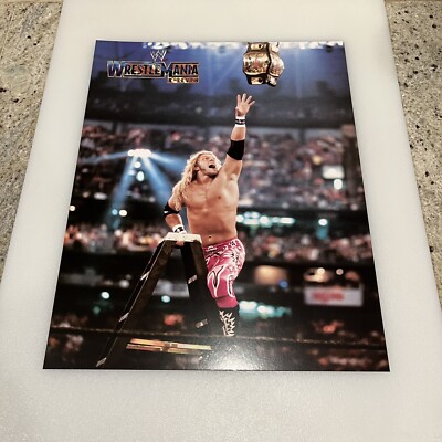 WWF WWE Poster Print Wrestlemania X-Seven Edge Christian Ladder Match ...