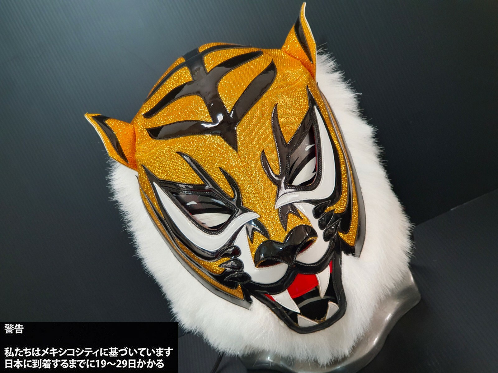 Tiger Mask Wrestler