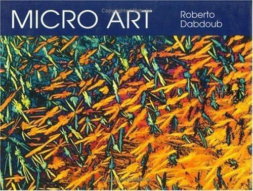 Micro Art by Roberto Dabdoub (2003, Hardcover) for sale online | eBay