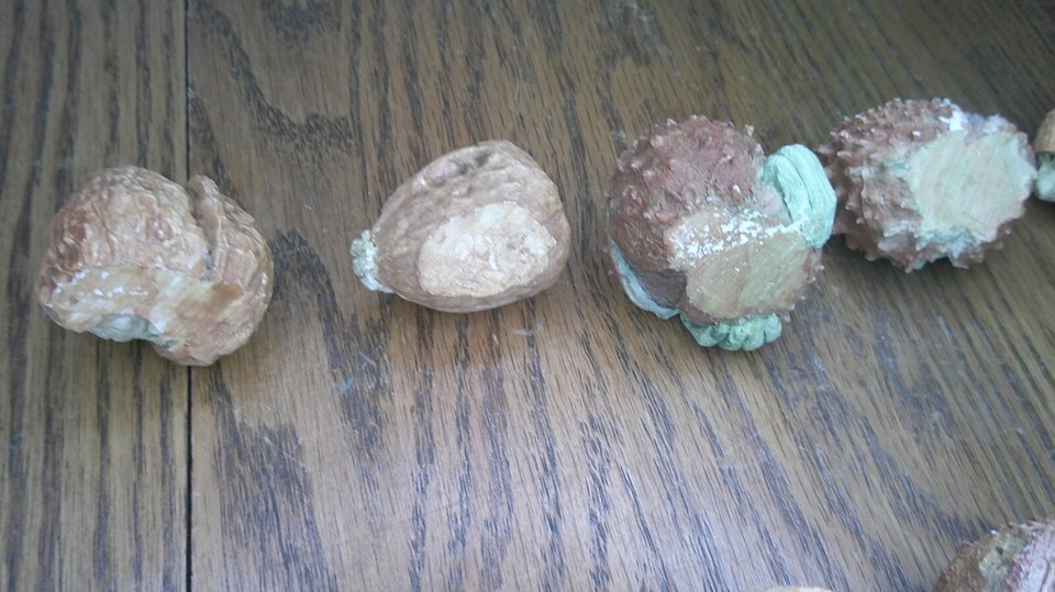 Rare 12 pcs. Clare craft disc world Nutcase men walnut figurines made ...