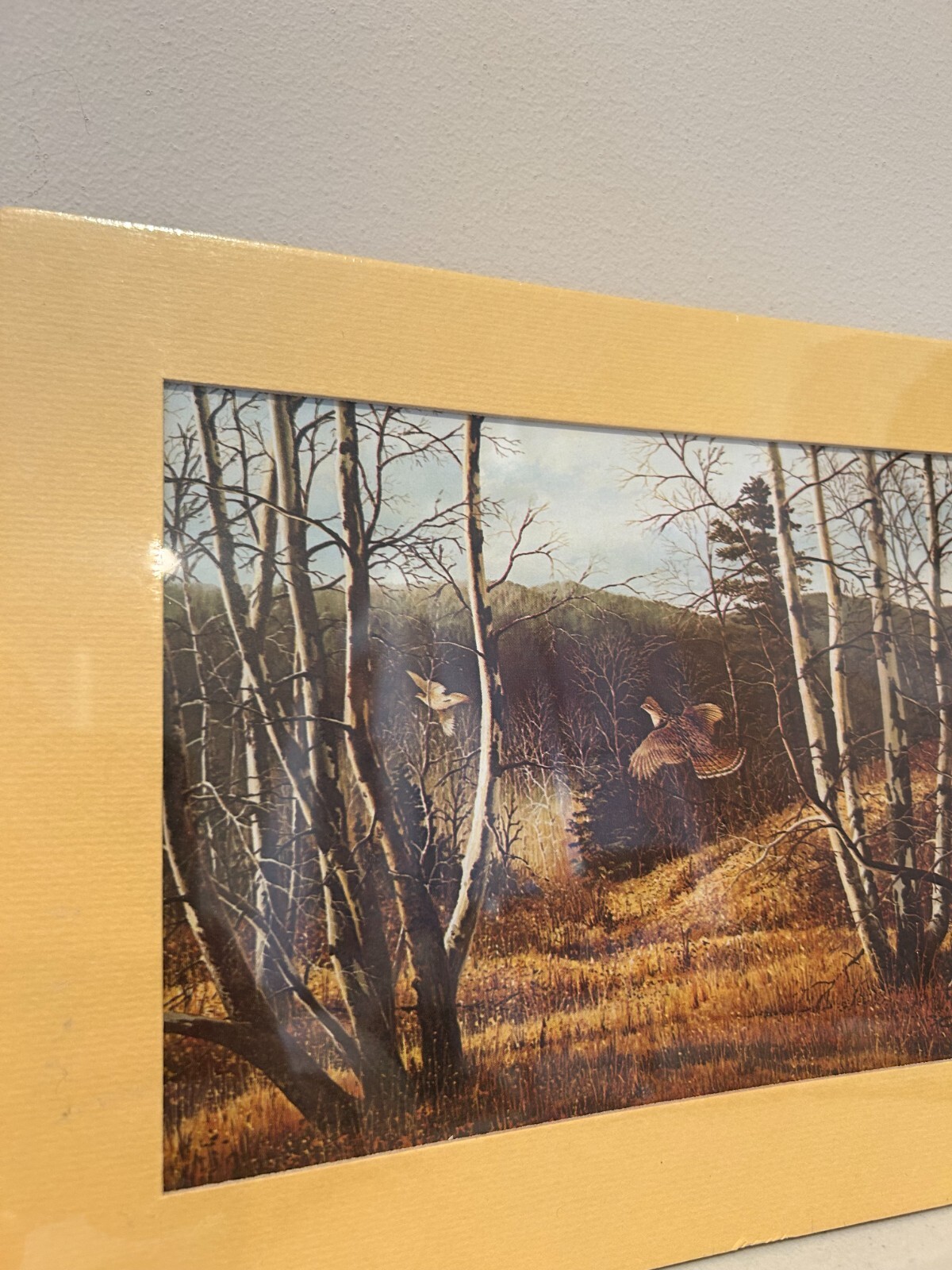 (2) Anthony Rudisill "Heading for Cover" "Flushed Grouse" Litho Art ...